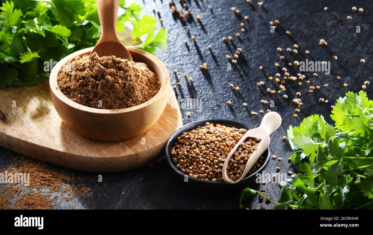 Ground coriander, its dried seeds and fresh leaves Stock Photo - Alamy