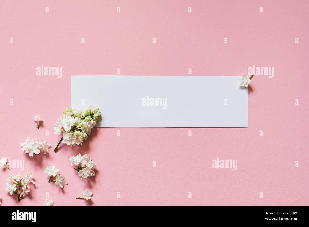 Congratulations card with flowers hi-res stock photography and images ...