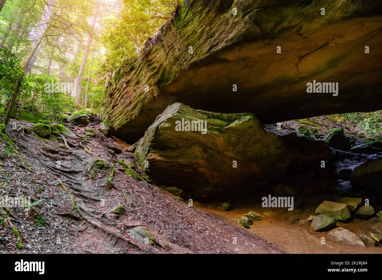 Daniel henson hi-res stock photography and images - Alamy