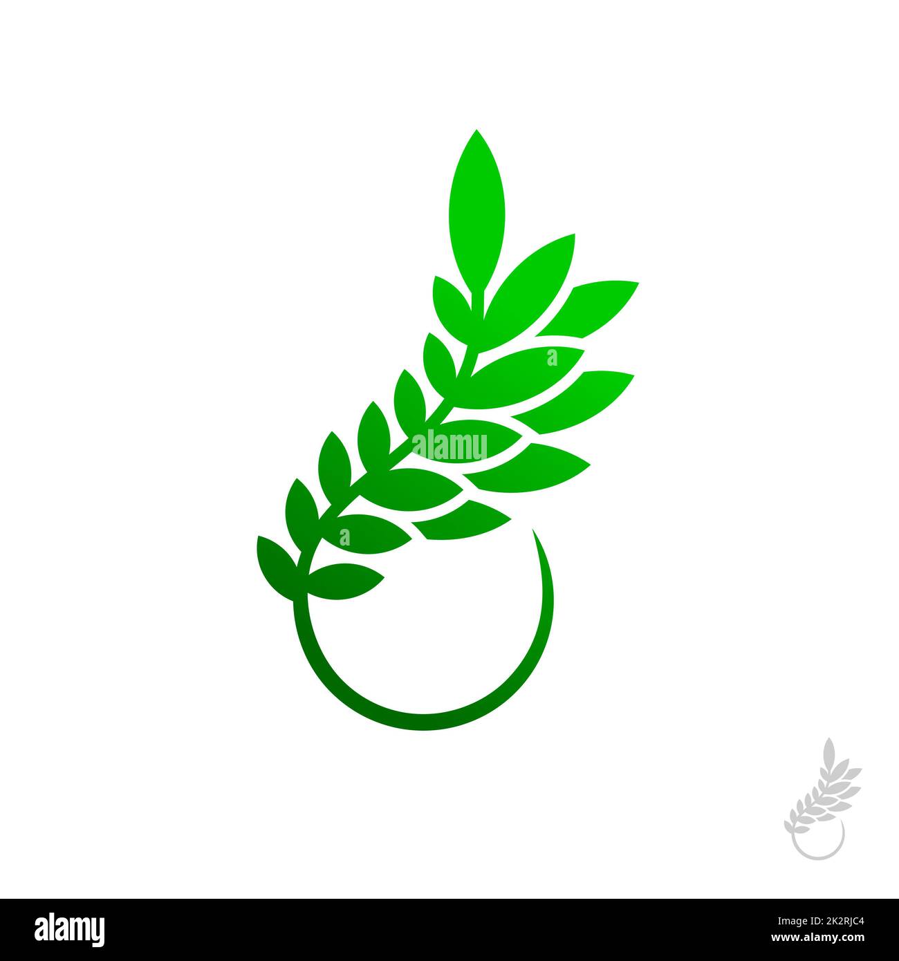 Branches floral vector logo design template Stock Photo - Alamy