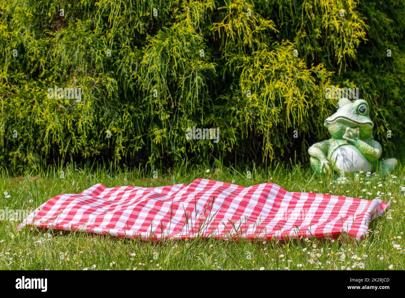 Red picnic cloth. Red checked picnic blanket on a meadow with daisies ...