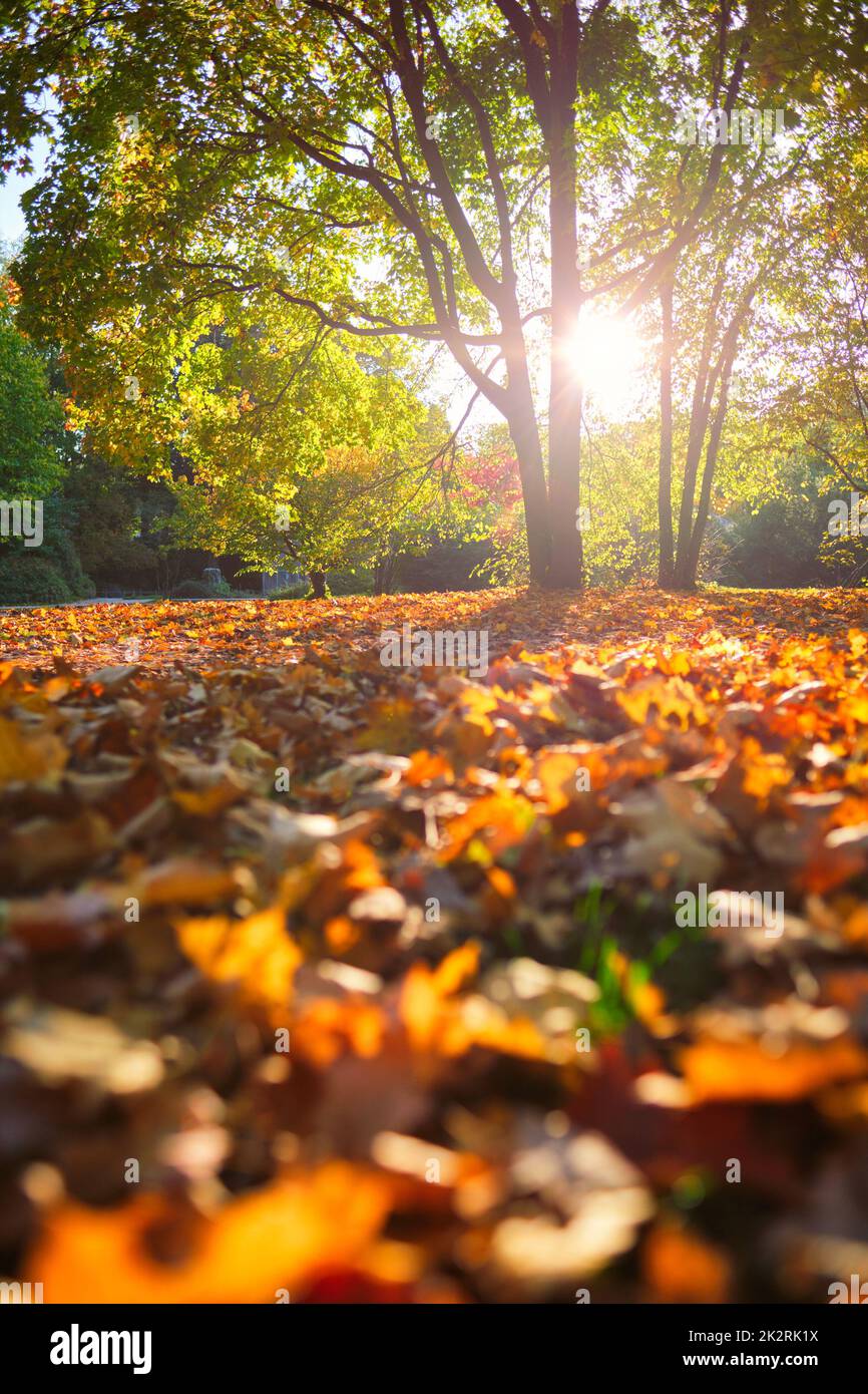 Relax place hi-res stock photography and images - Alamy