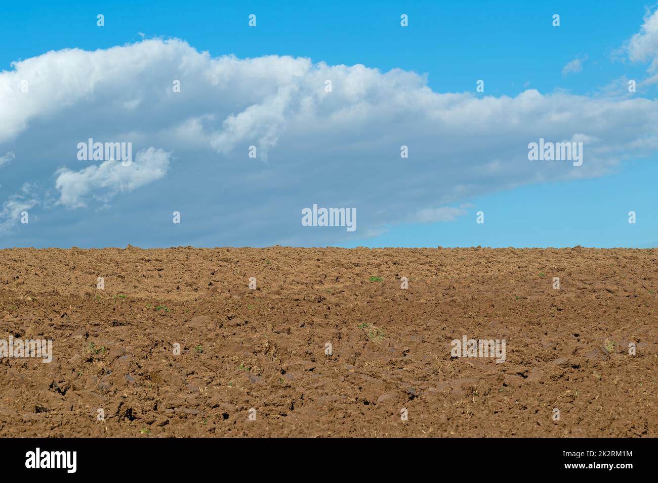 Farmland horizon soil hi-res stock photography and images - Alamy