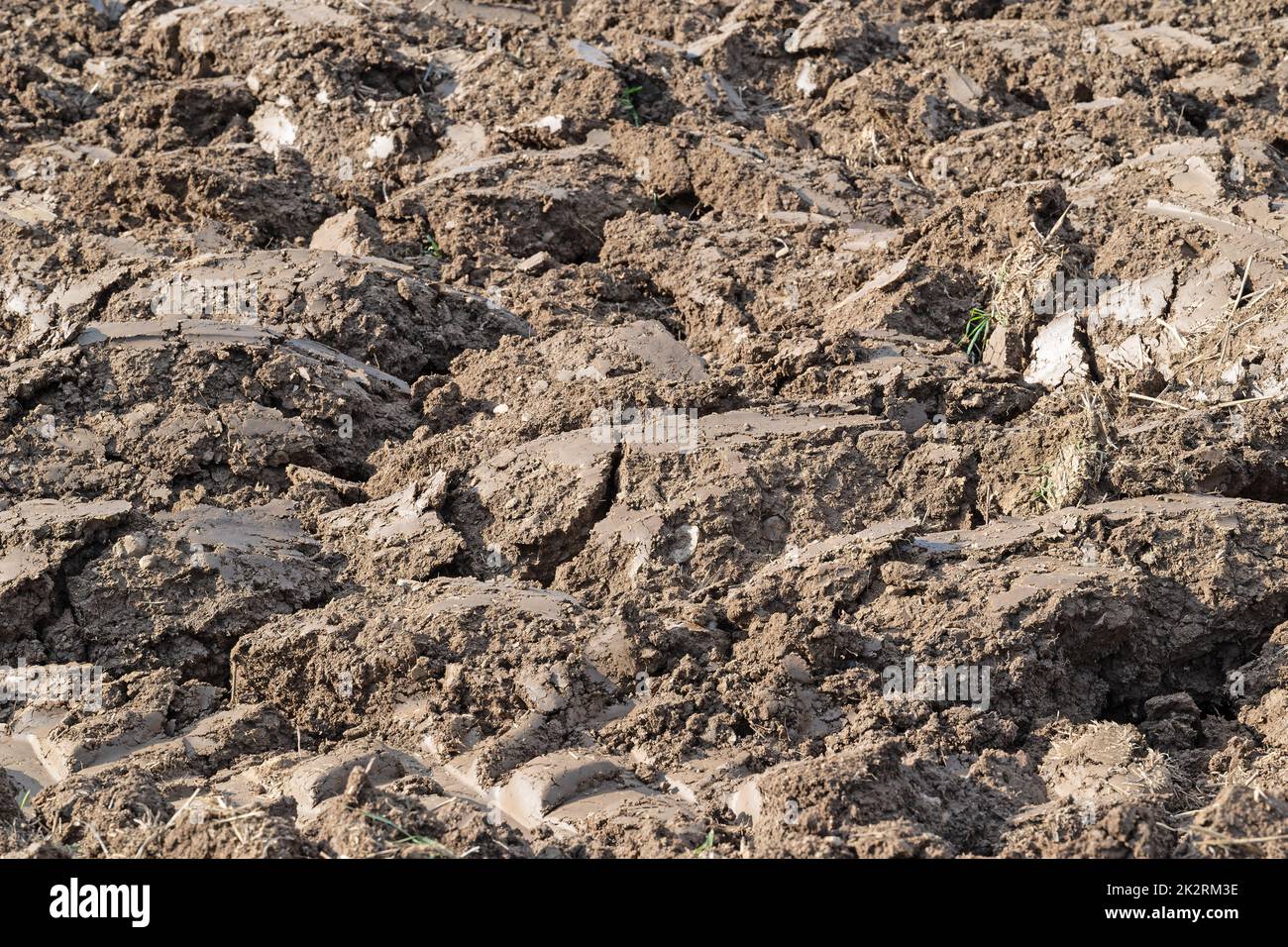 Clods of earth hi-res stock photography and images - Alamy