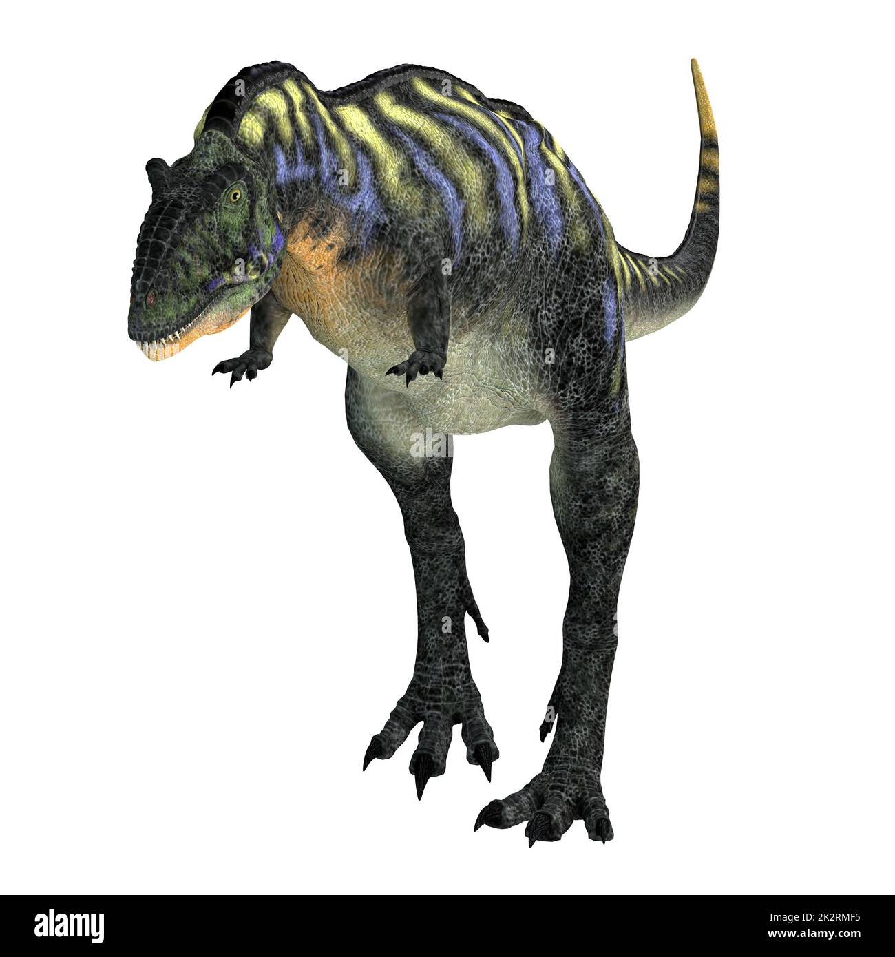 Aucasaurus on the Hunt Stock Photo - Alamy