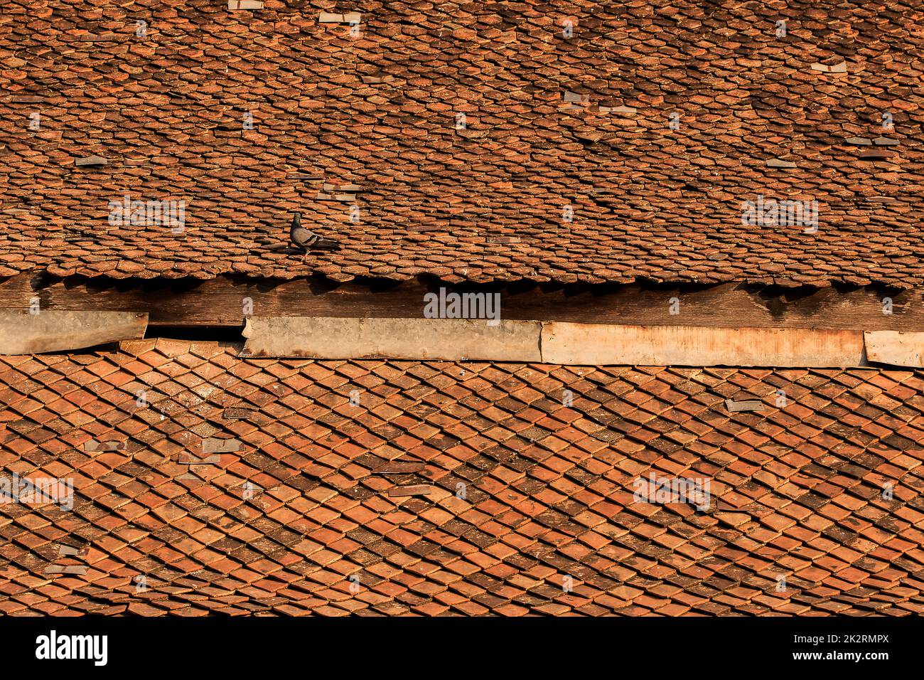 Clay roof tiles texture hi-res stock photography and images - Alamy