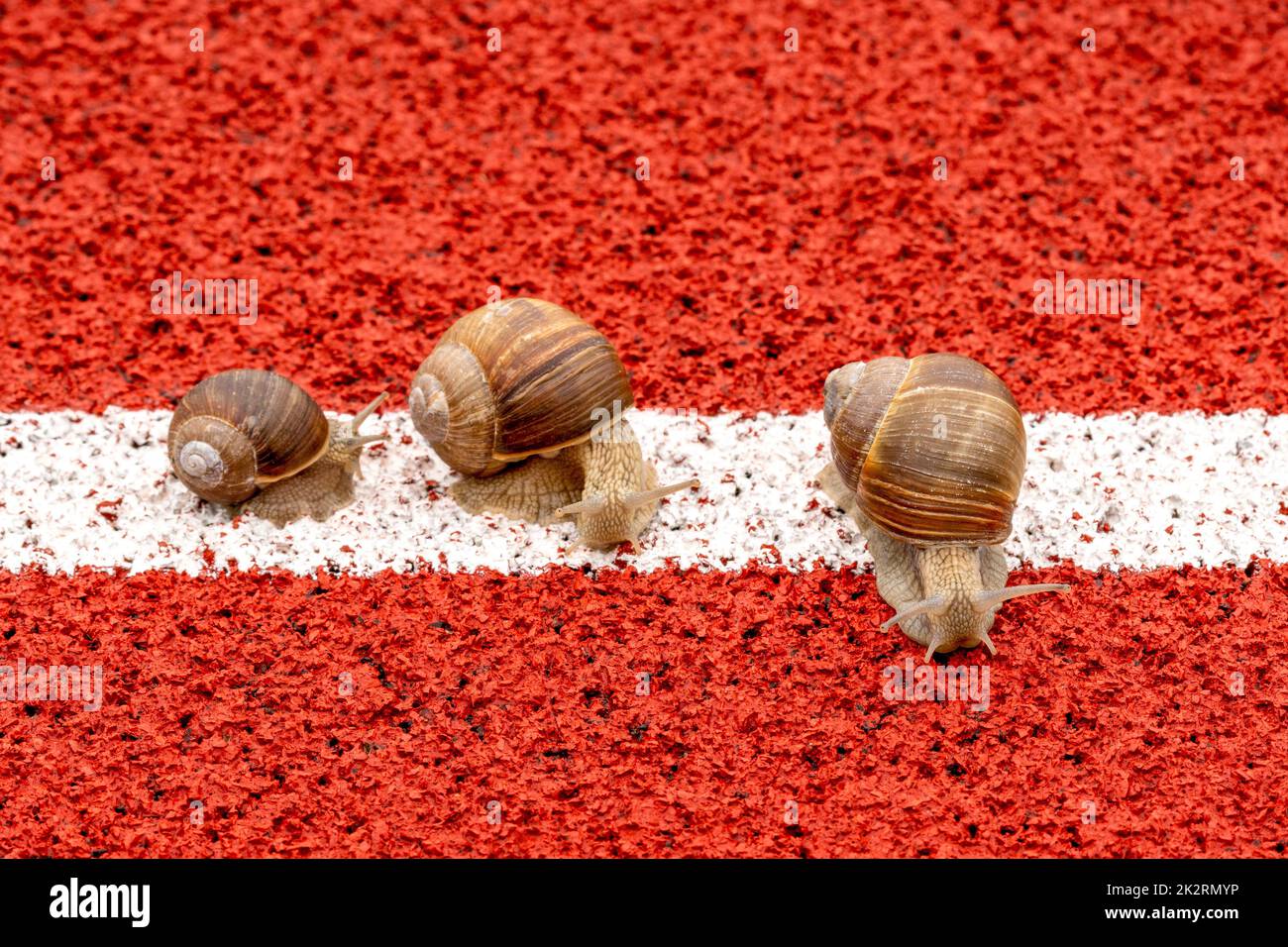 Family stadium food hi-res stock photography and images - Alamy