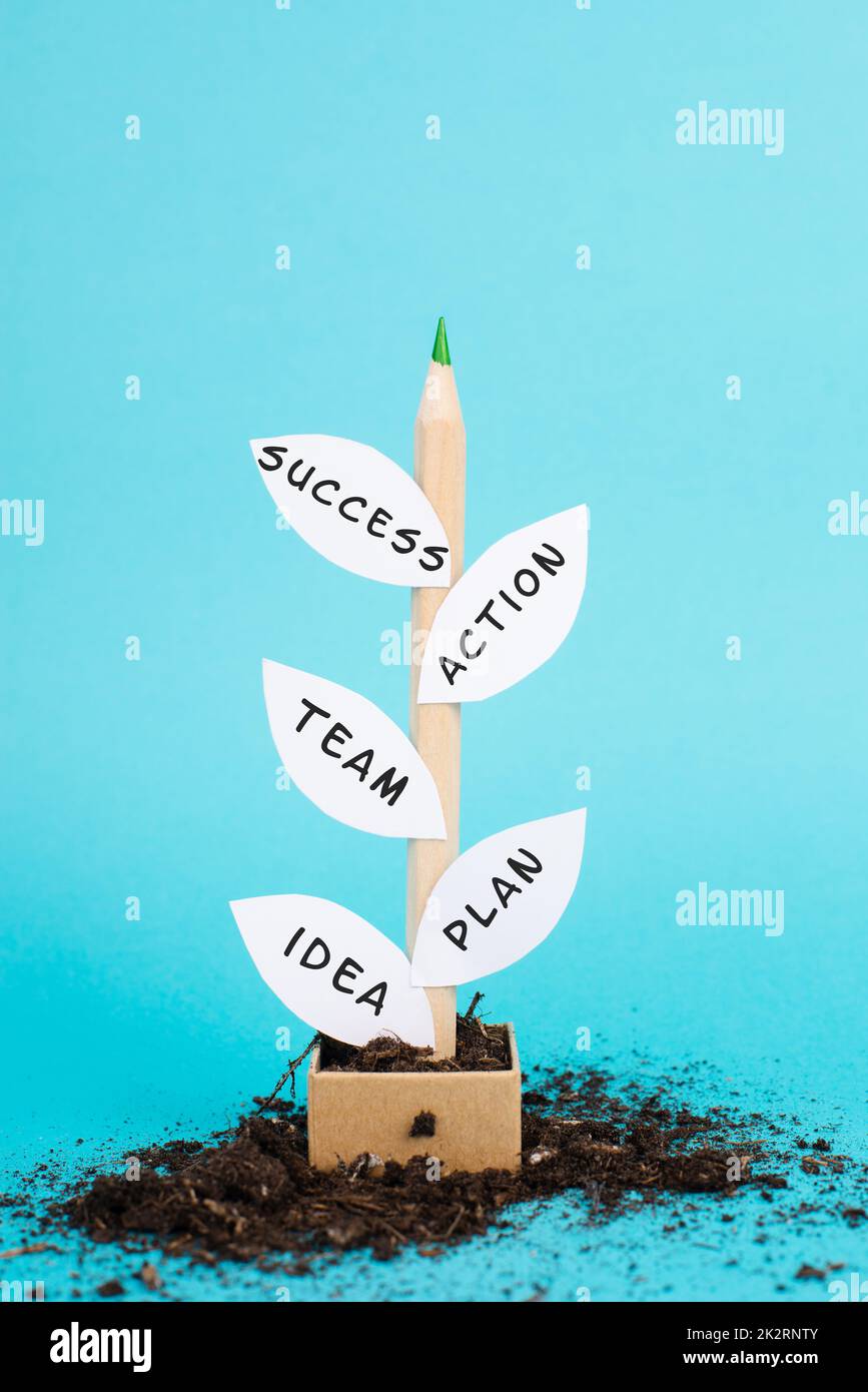 Plant grows for success, having an idea, planning a strategy, teamwork ...