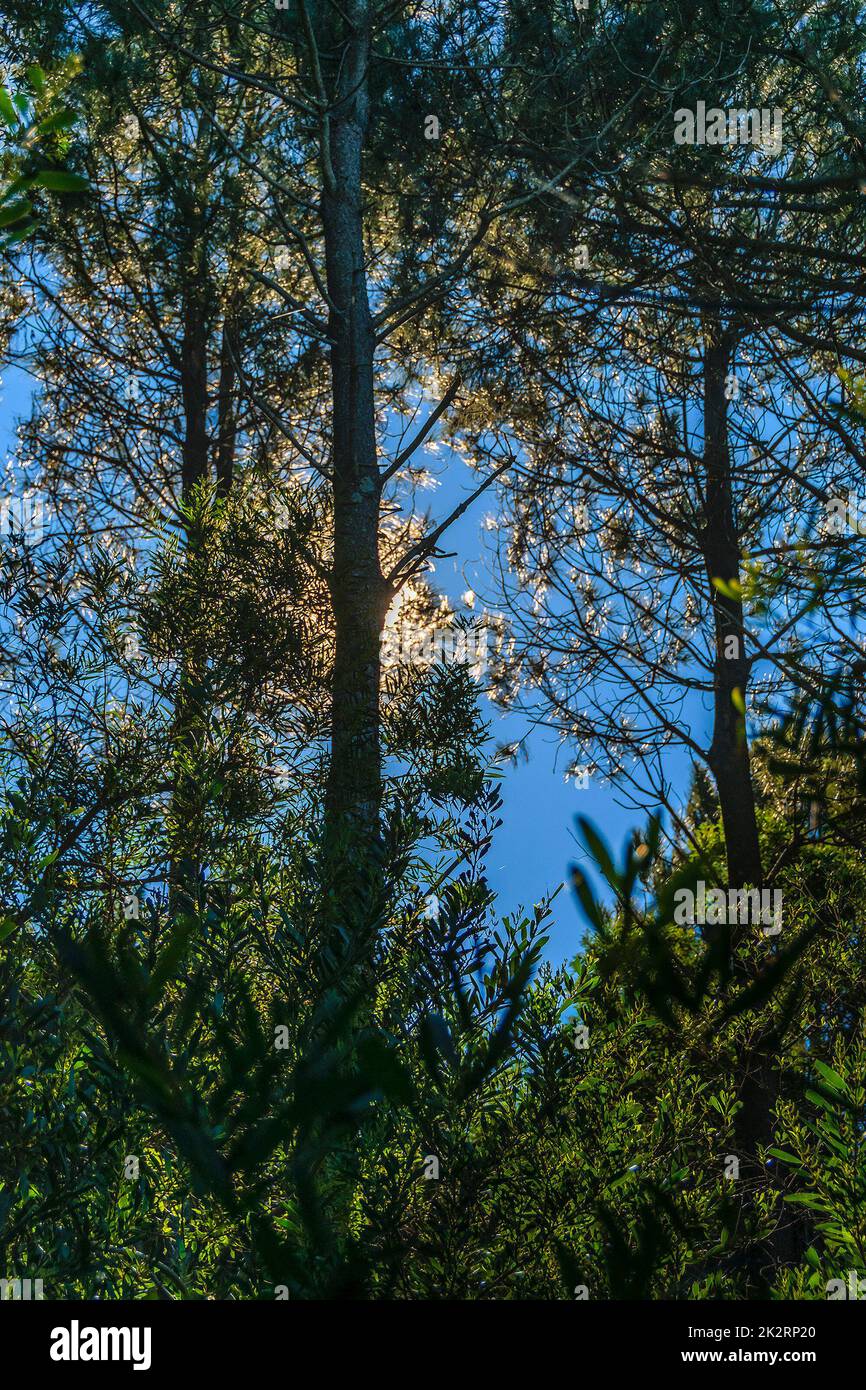 De LAs Animas Mountain Range, Uruguay Stock Photo - Alamy