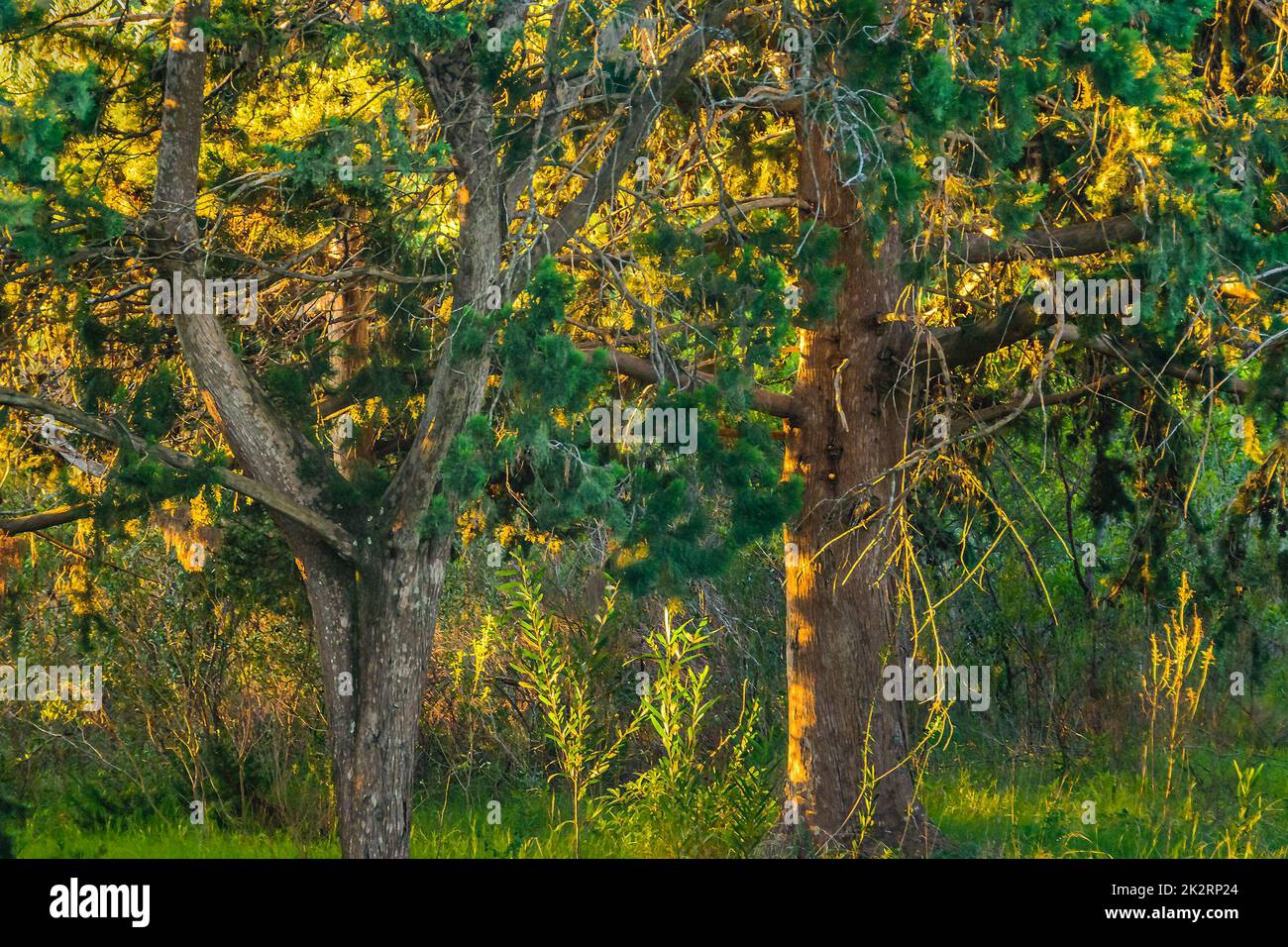 De LAs Animas Mountain Range, Uruguay Stock Photo - Alamy