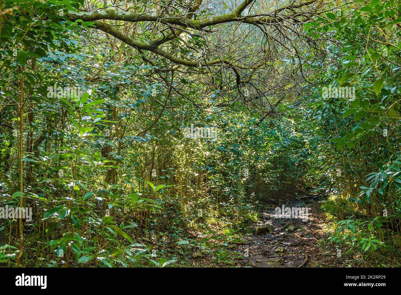 De LAs Animas Mountain Range, Uruguay Stock Photo - Alamy