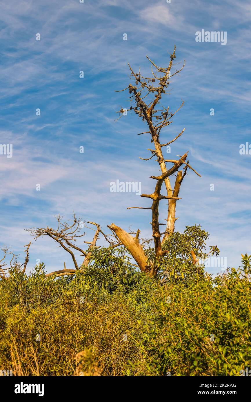 De LAs Animas Mountain Range, Uruguay Stock Photo - Alamy