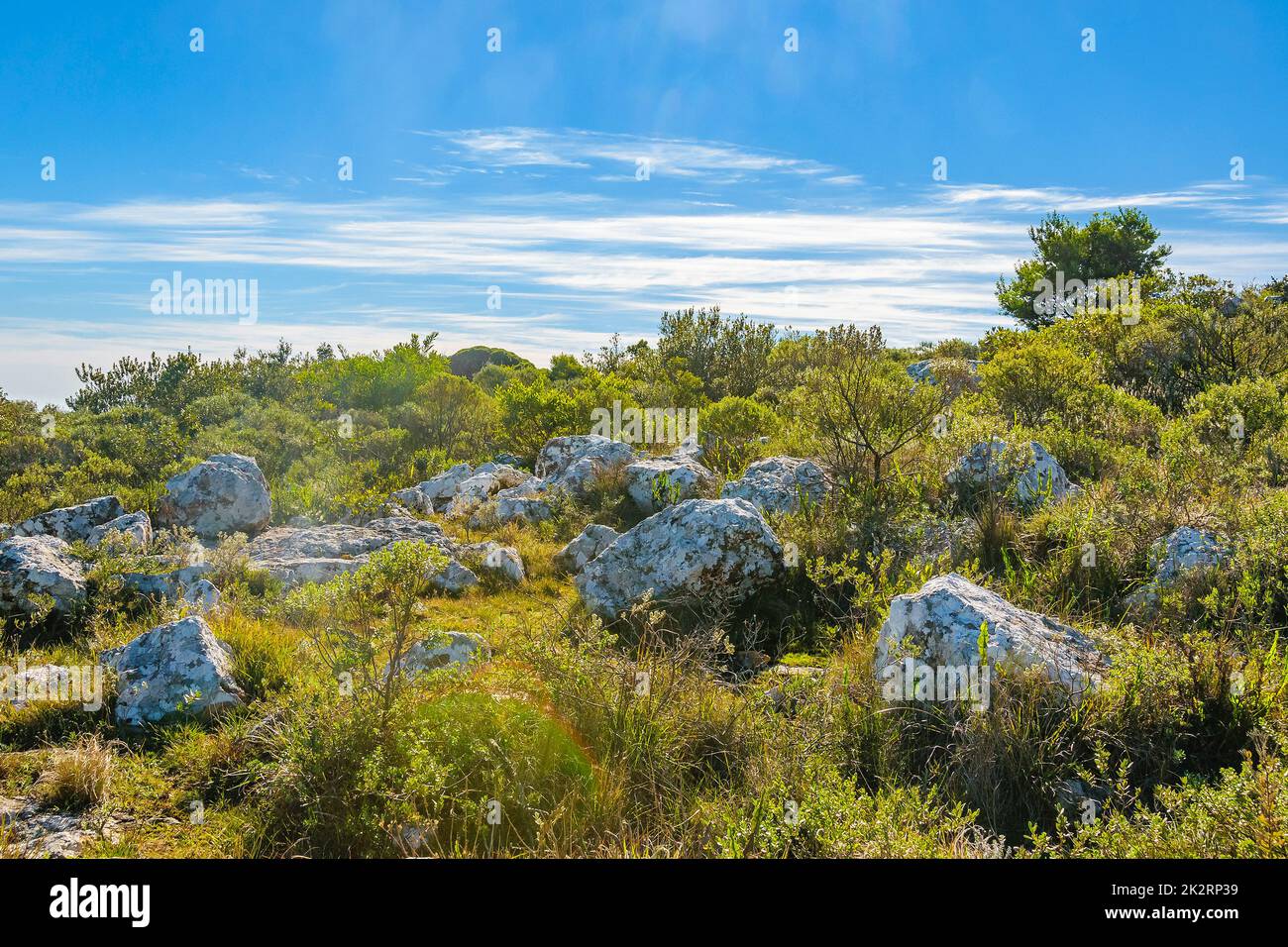 Sierra de las animas hi-res stock photography and images - Alamy