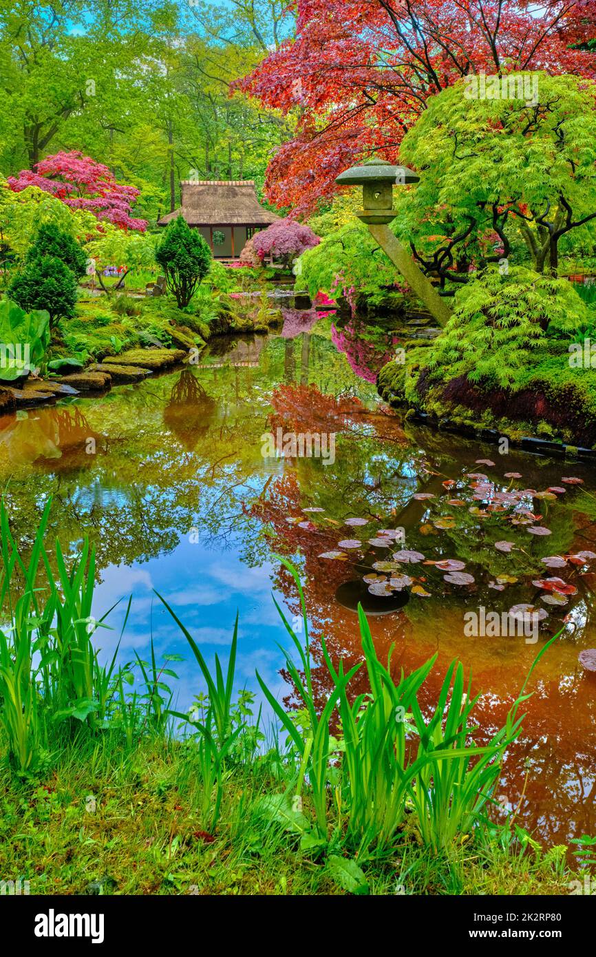 Japanese garden clingendael park hi-res stock photography and images ...