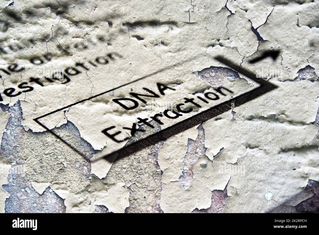 Dna extraction hi-res stock photography and images - Alamy