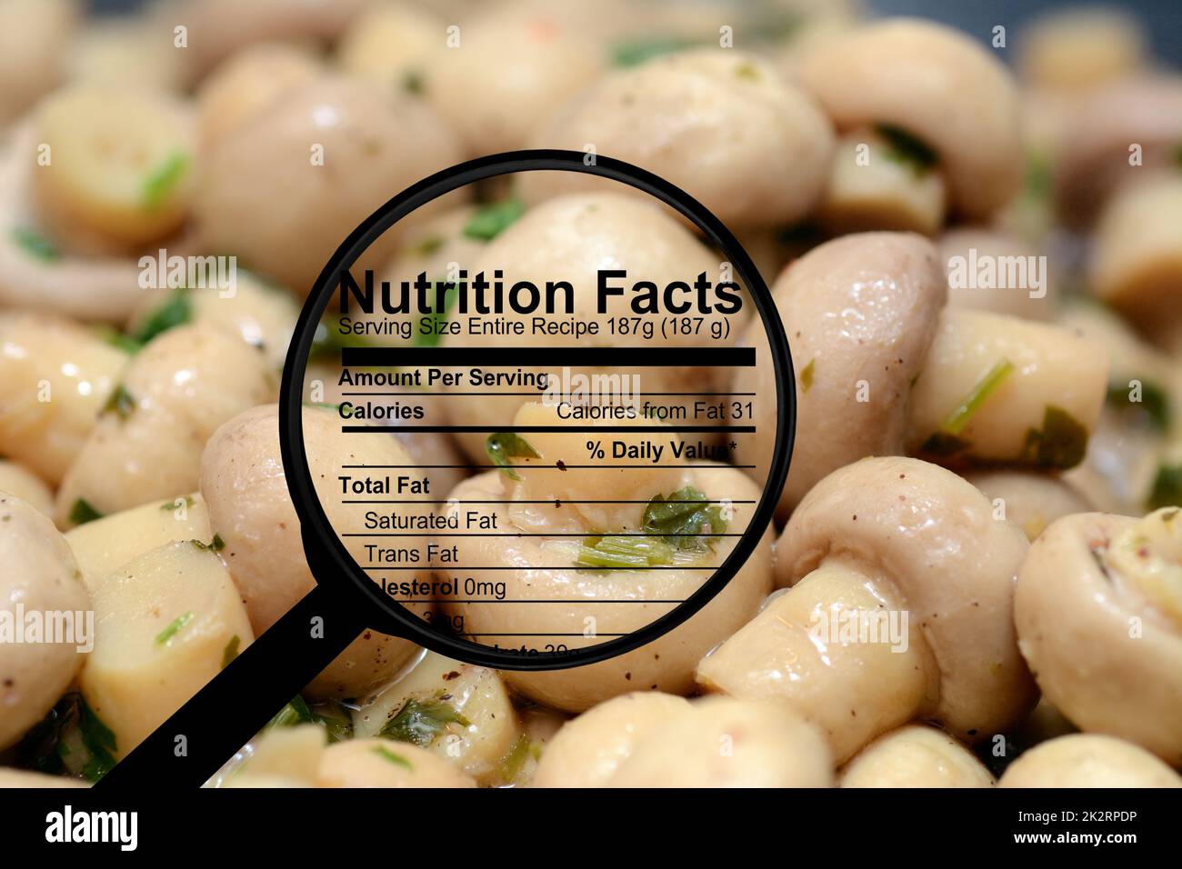 Facts About Magnifying Glass at William Fetters blog