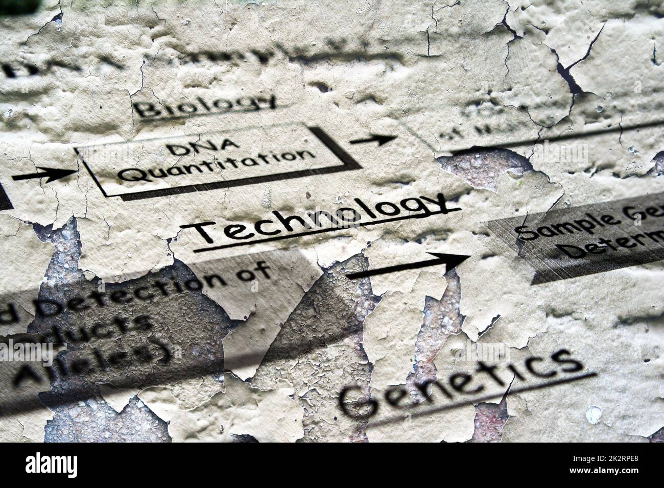 Bio technology hi-res stock photography and images - Alamy