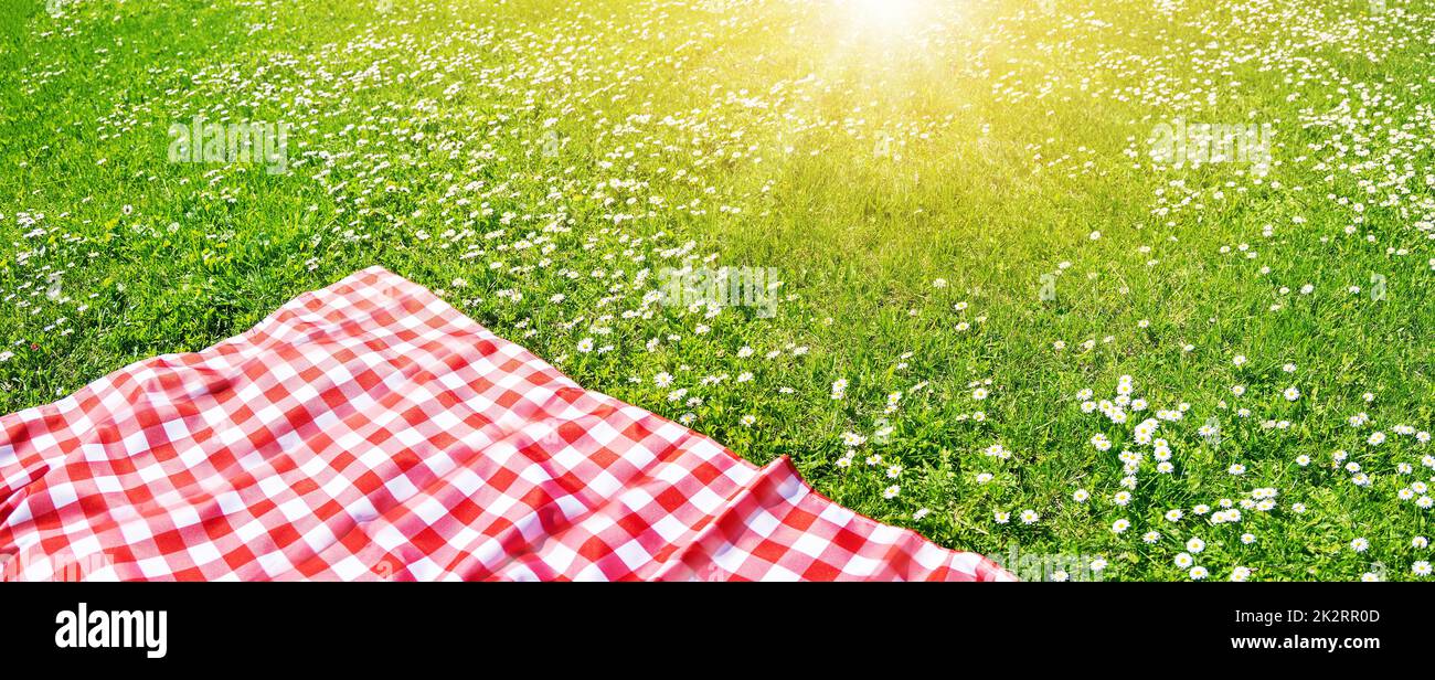 Picnic duvet on the meadow with green grass and spring flowers Stock ...