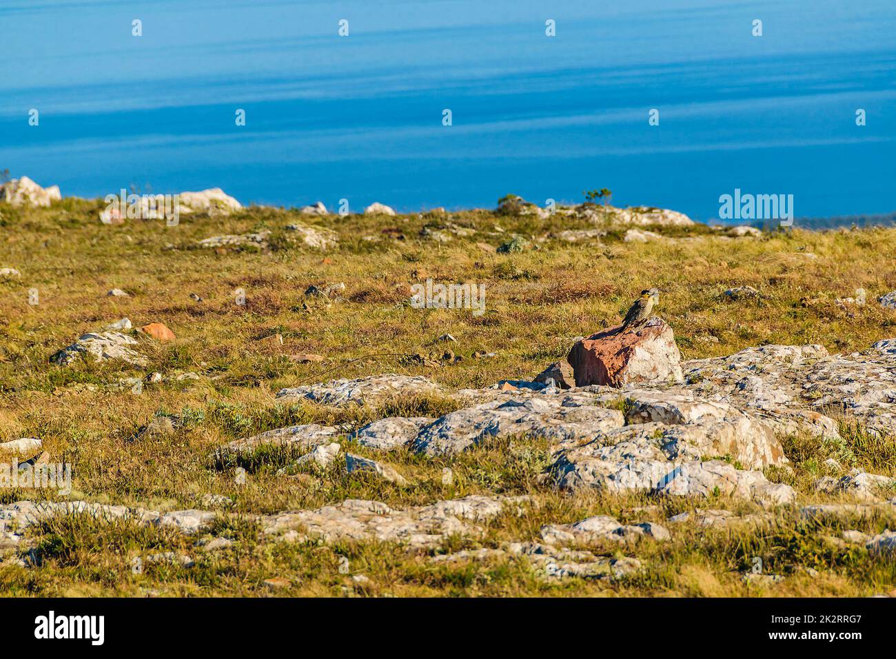 Sierra de las animas hi-res stock photography and images - Alamy