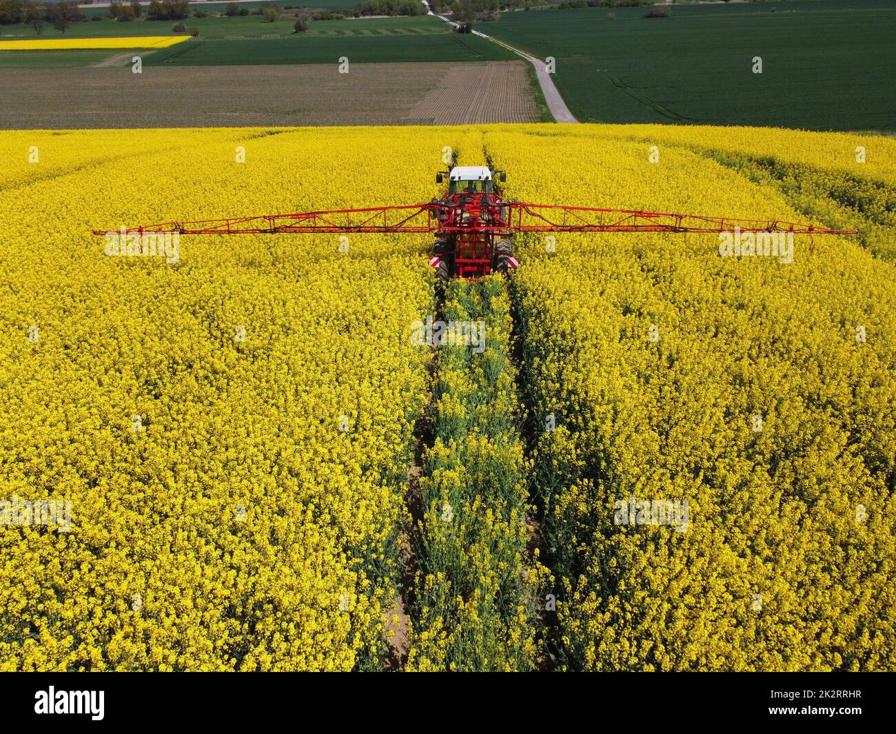 Crop protection is applied to rape on a field Stock Photo - Alamy