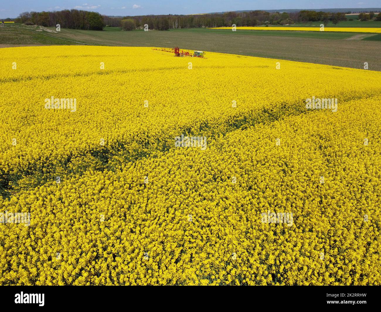 Crop protection is applied to rape on a field Stock Photo - Alamy