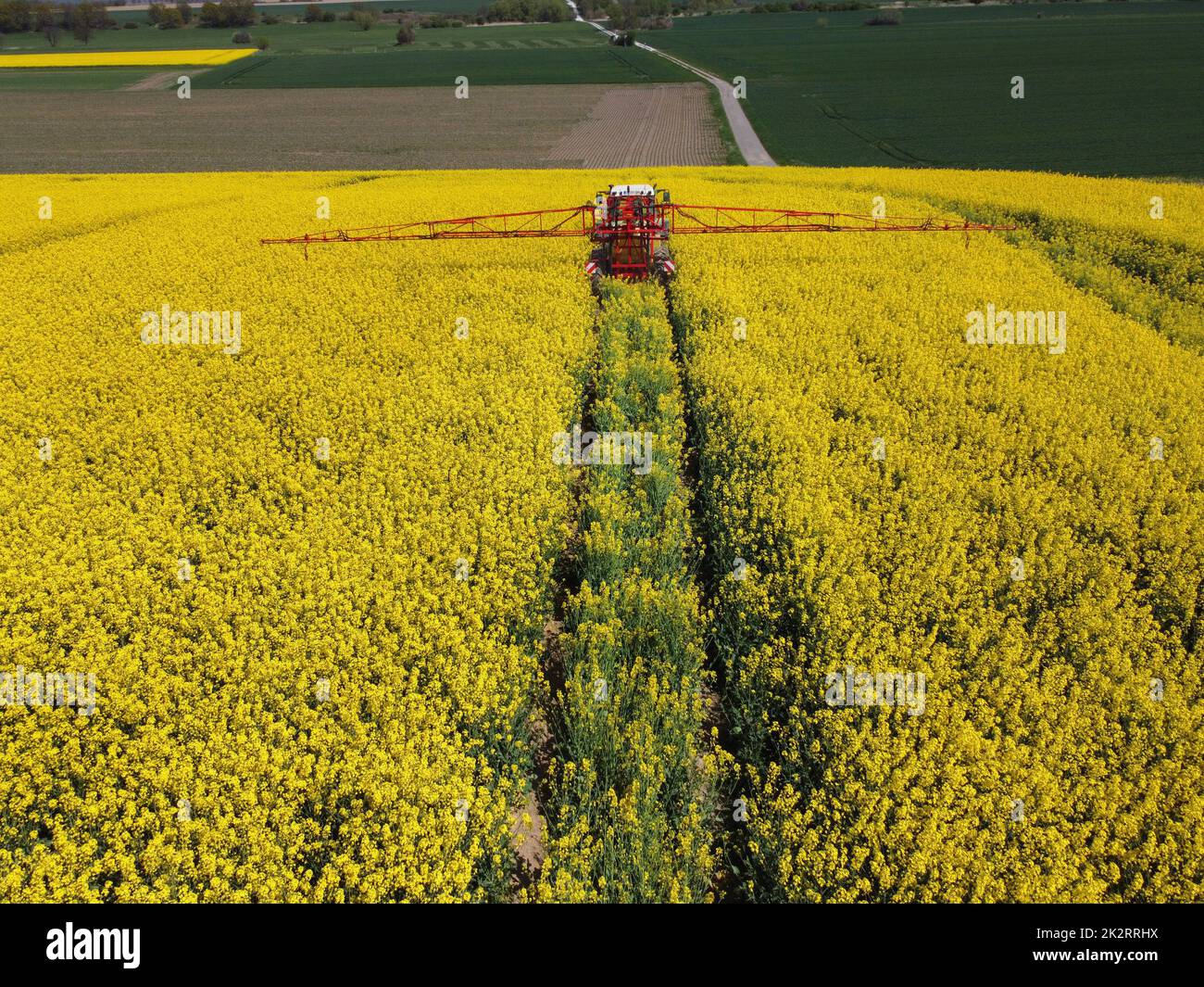 Crop protection is applied to rape on a field Stock Photo - Alamy