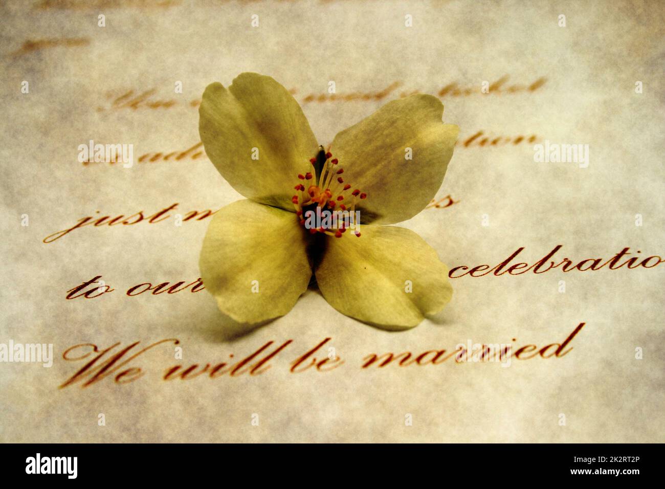 Old invitation illustration hi-res stock photography and images - Alamy