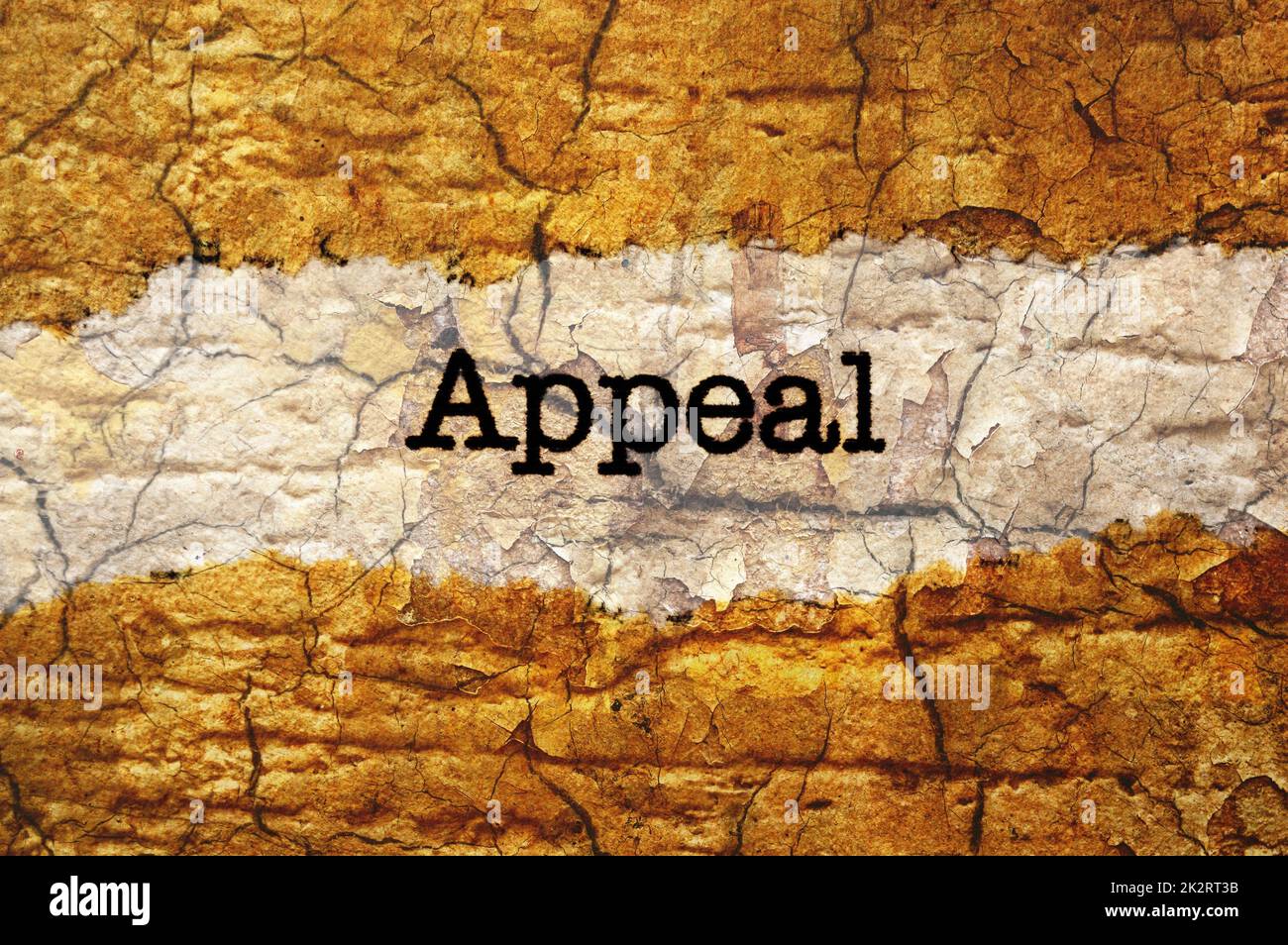 Concept discernment hi-res stock photography and images - Alamy