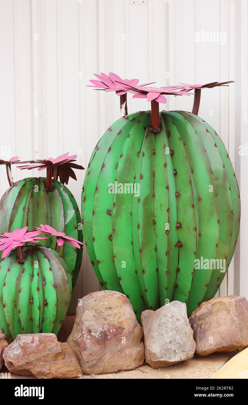 Metal Cactus Garden With Green Cactus and Rosck outdoors Texas Scenery ...