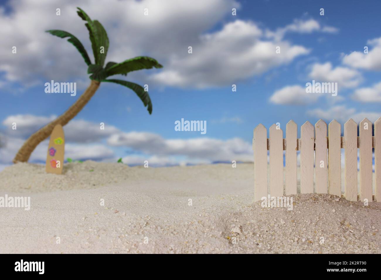 Fence on on beach with waves and Palm Trees in background Stock Photo ...