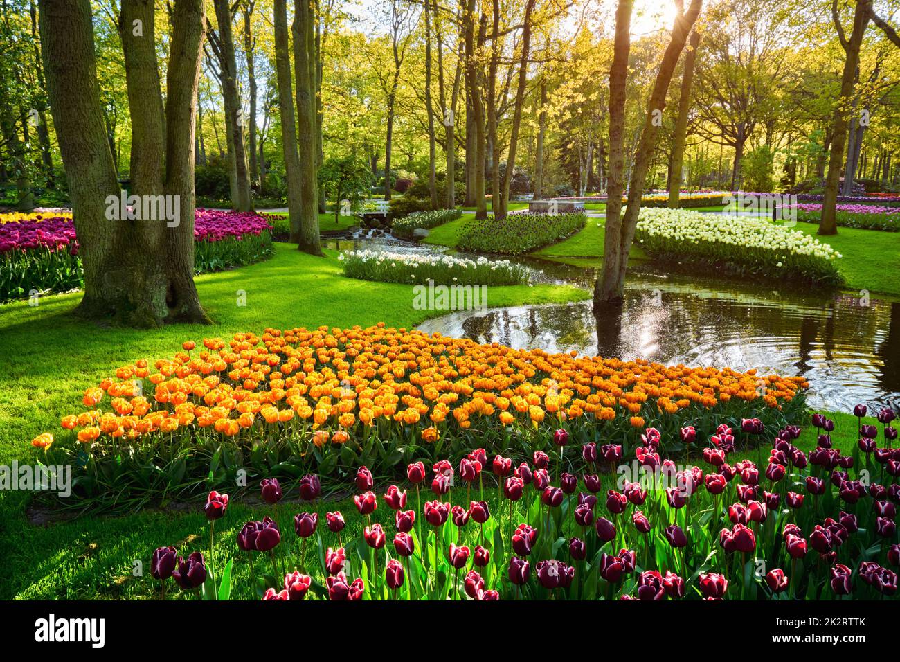 Keukenhof flower garden. Lisse, the Netherlands Stock Photo - Alamy