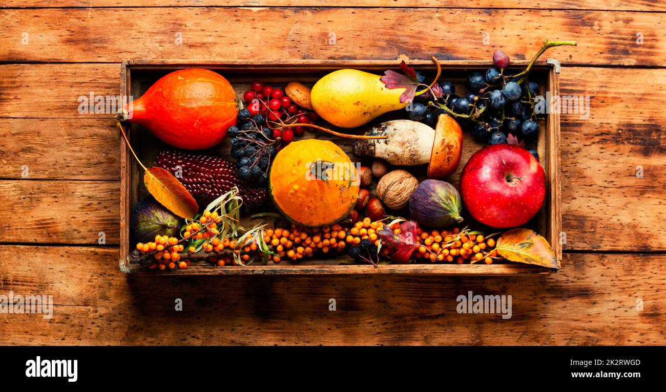 Autumn still life with autumn harvest Stock Photo - Alamy