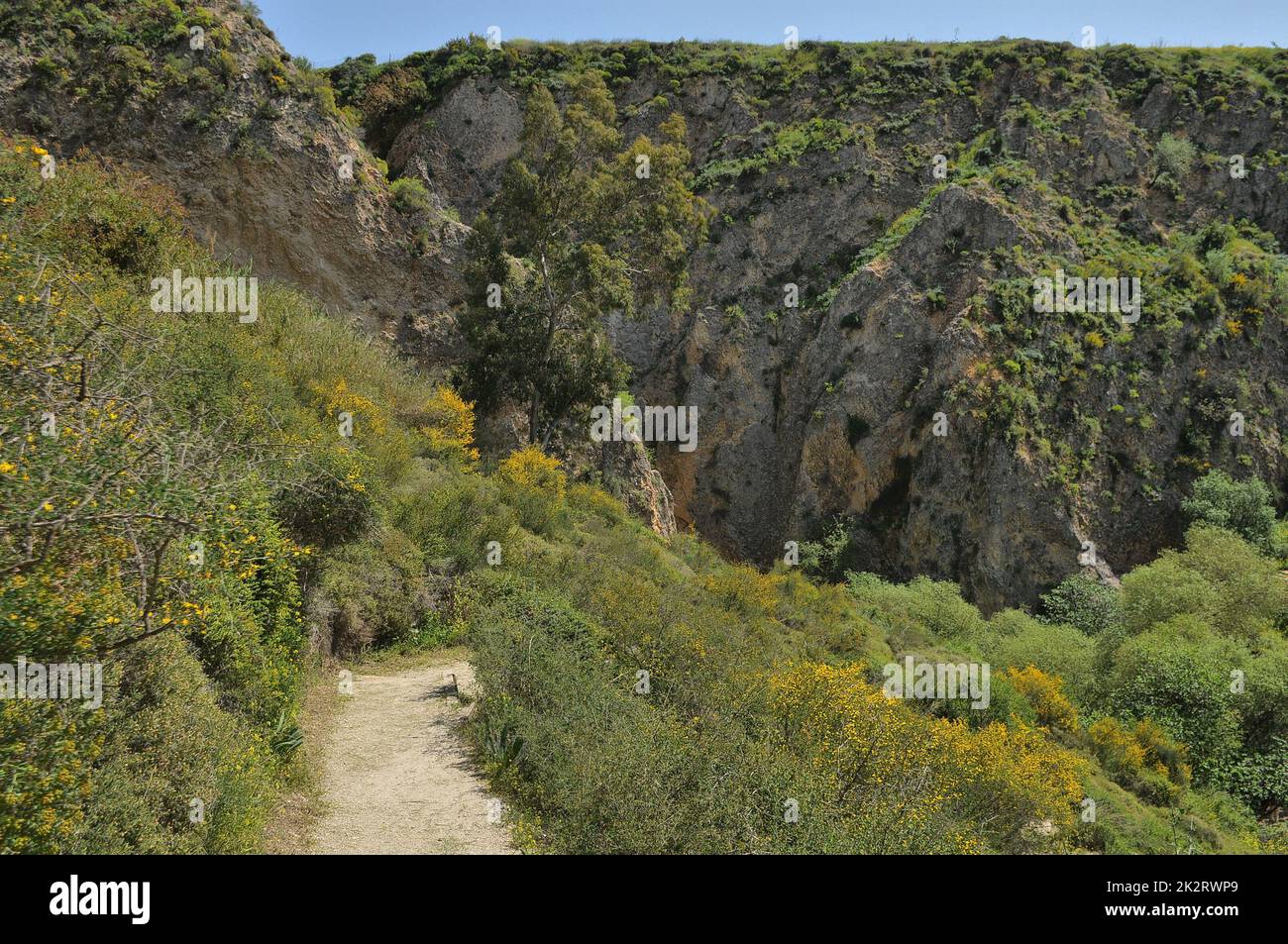 Ayun River Nature Reserve in northern Israel Stock Photo - Alamy
