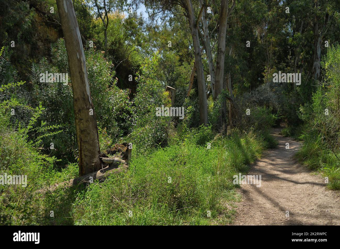 A path passing near the Ayun river in the Galilee in northern Israel ...
