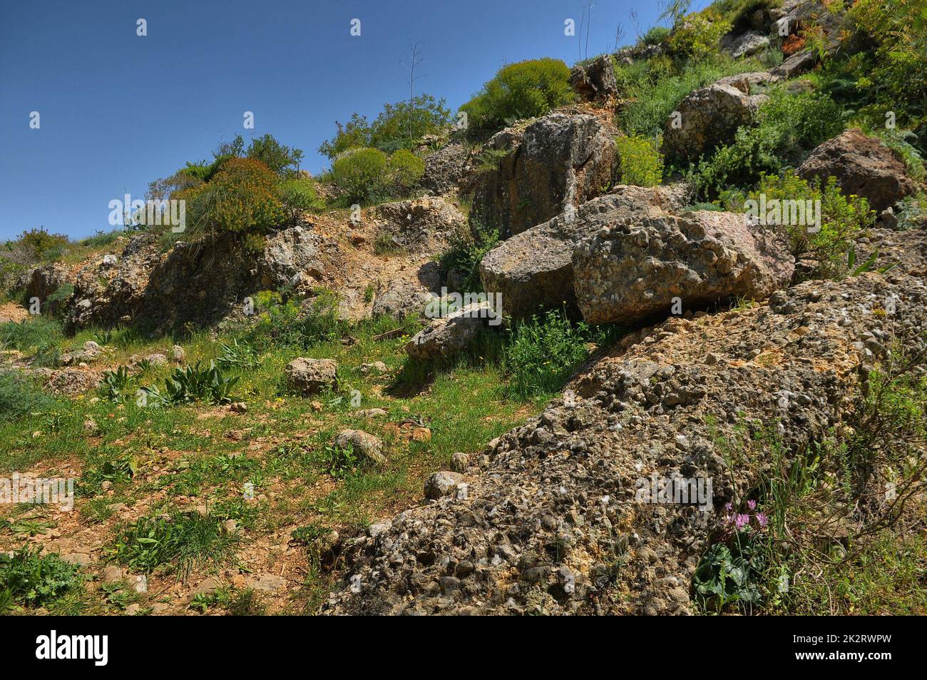 Galilee israel landscape hi-res stock photography and images - Alamy