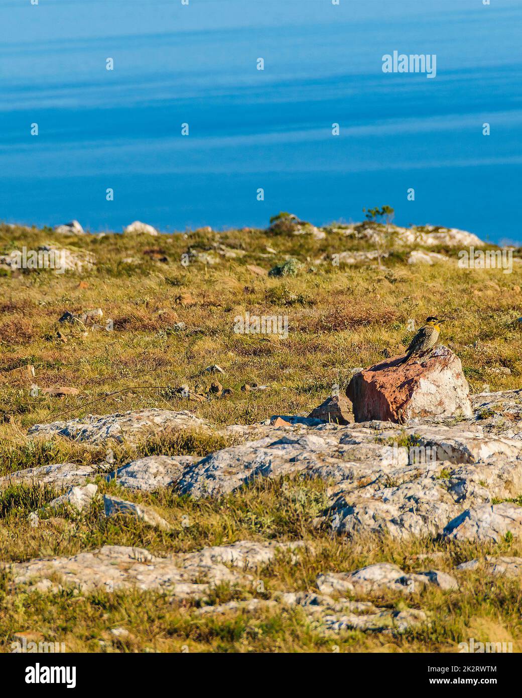 Sierra de las animas hi-res stock photography and images - Alamy