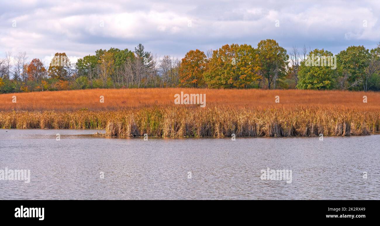 Illinois prairie landscape hi-res stock photography and images - Alamy