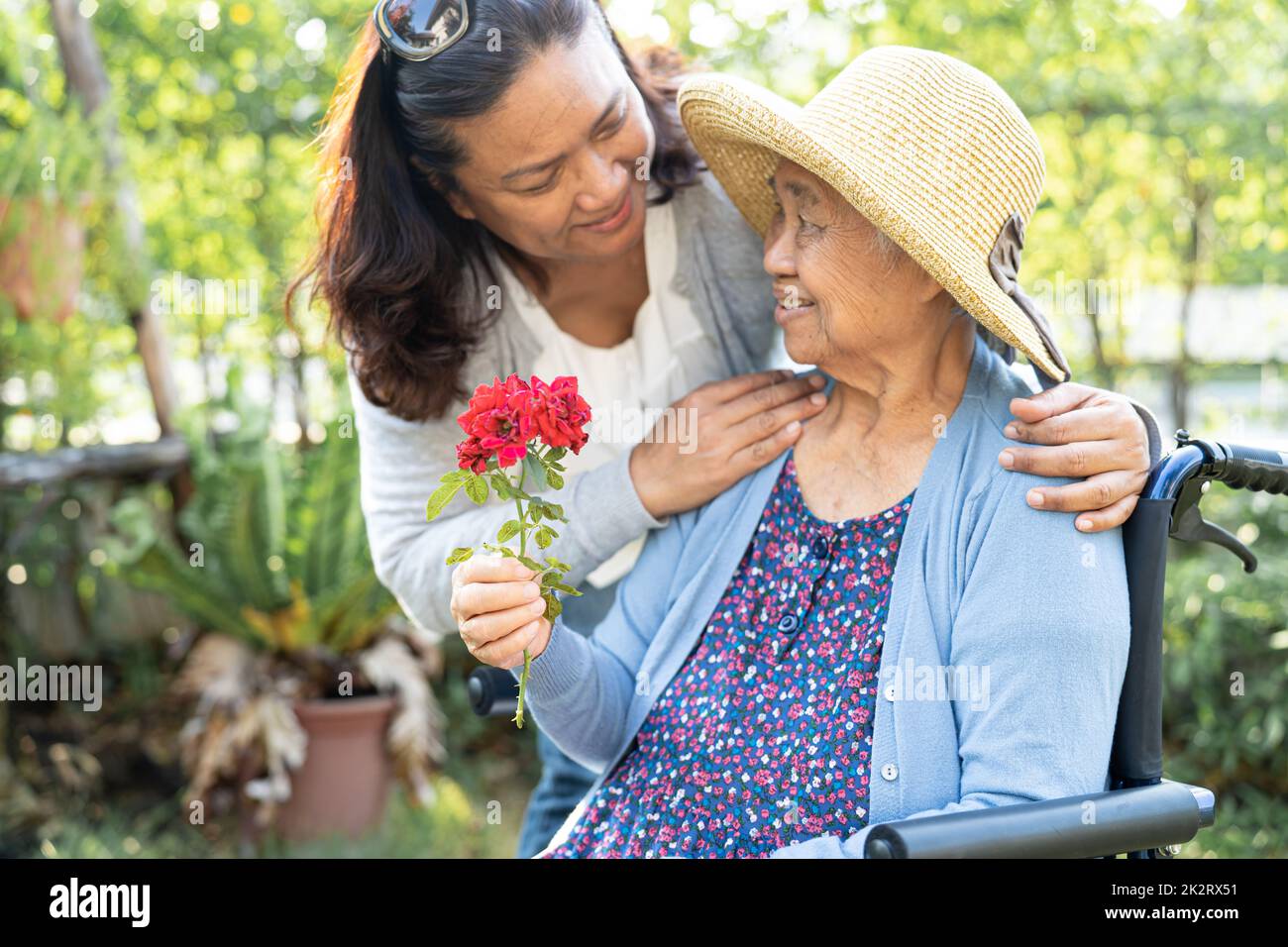 Caregiver daughter hug and help Asian senior or elderly old lady woman holding red rose on ...
