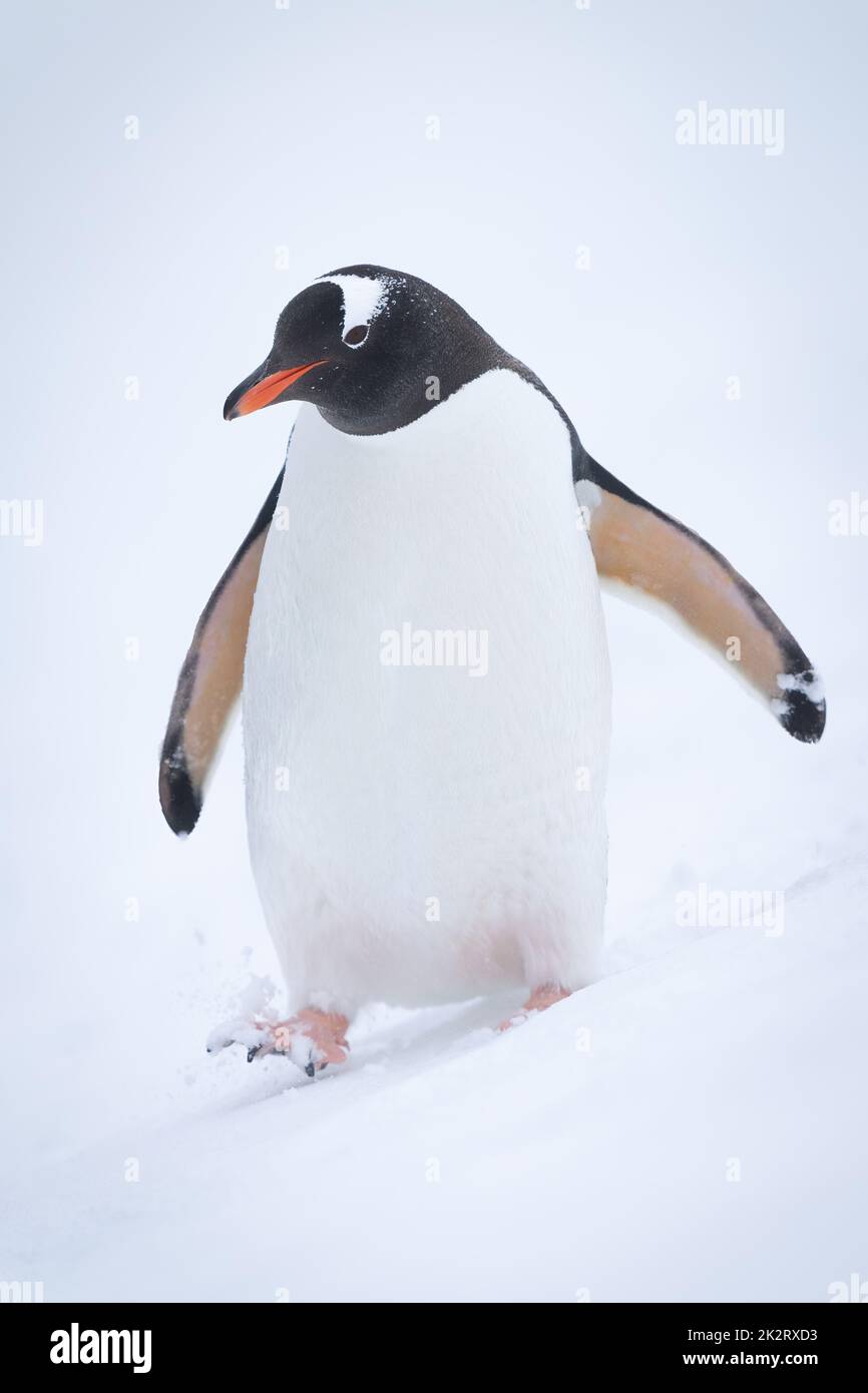 Walking slope hi-res stock photography and images - Alamy