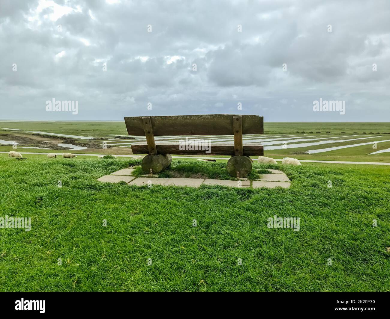 A lonely bench and some sheep on a green dike at the North Sea near ...