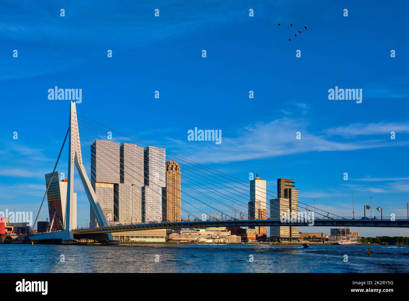 Panoramic skyline skyscrapers rotterdam hi-res stock photography and ...