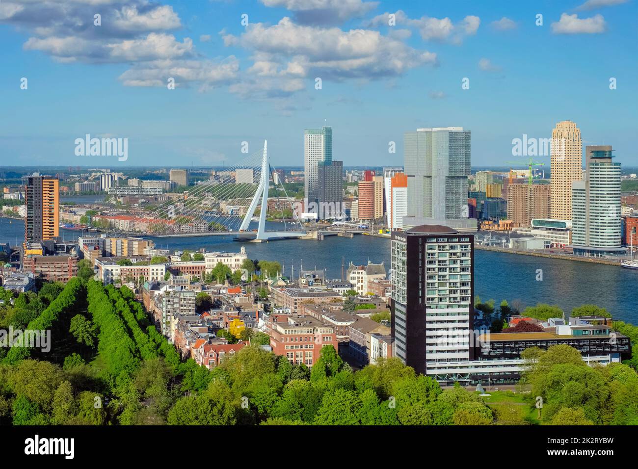 View of Rotterdam city and the Erasmus bridge Stock Photo - Alamy