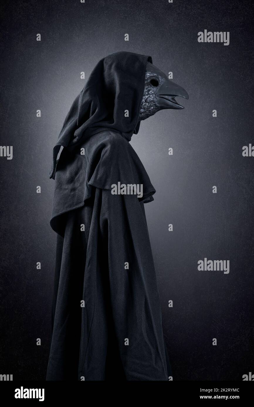 Bird in hooded cloak at night over dark misty background Stock Photo ...