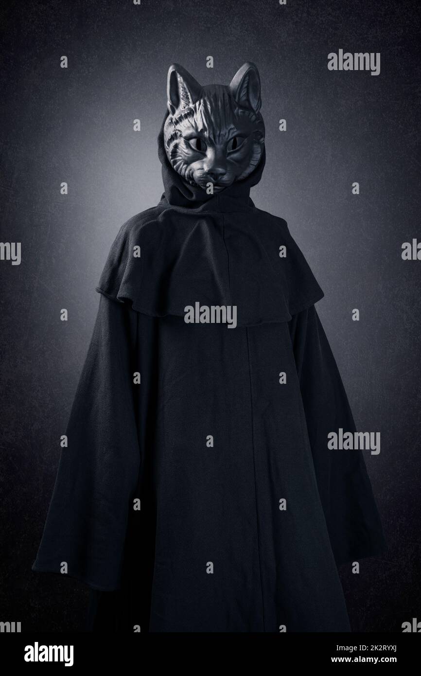 Black cat in hooded cloak at night over dark misty background Stock ...