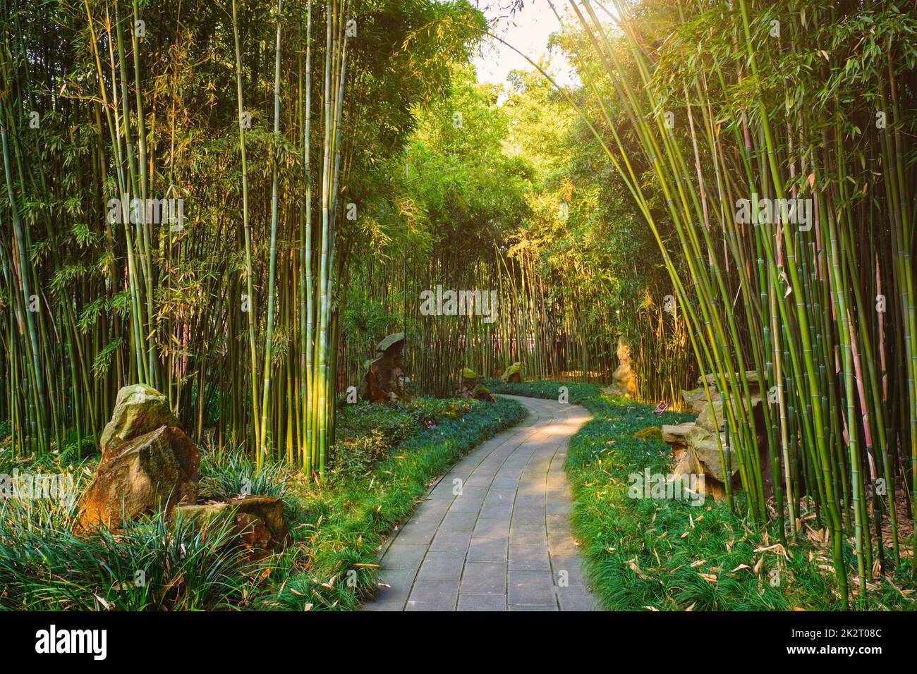 Wangjiang park hi-res stock photography and images - Alamy