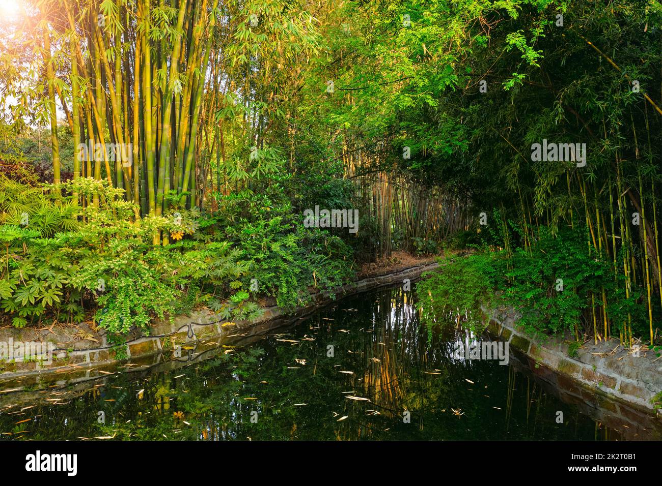 Park in Chengdu, China Stock Photo - Alamy