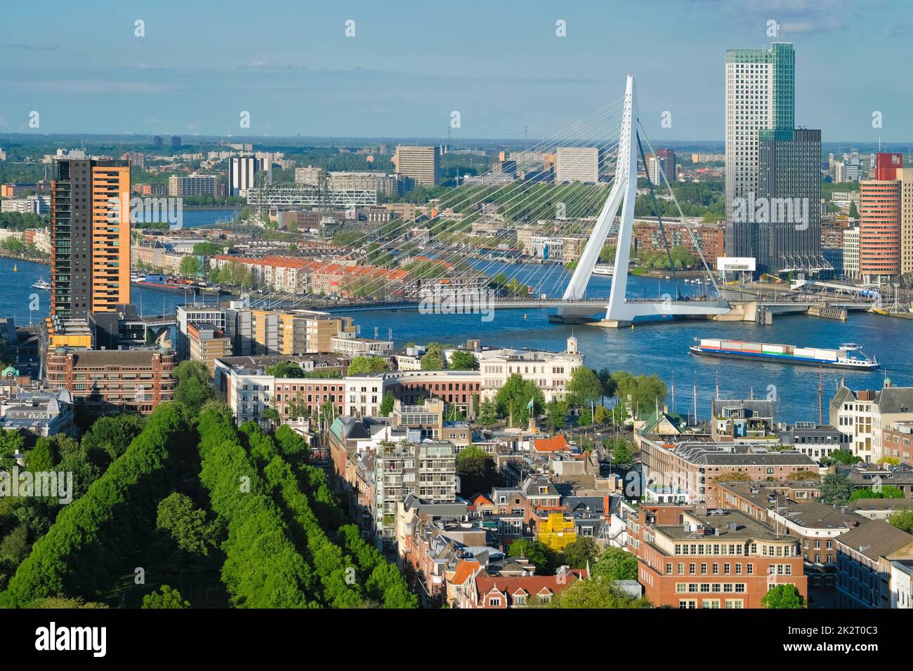 View of Rotterdam city and the Erasmus bridge Stock Photo - Alamy