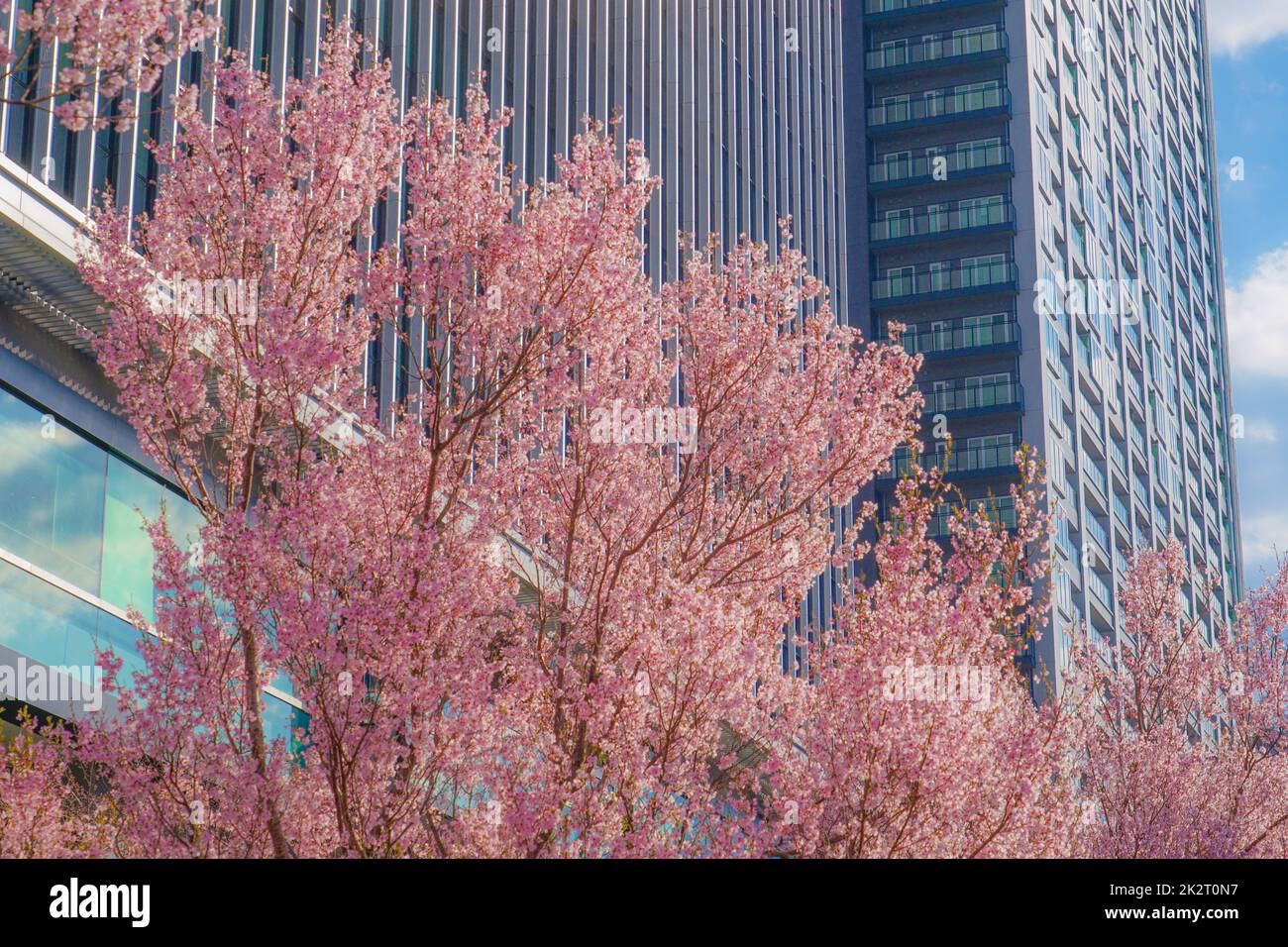 Yotsuya hi-res stock photography and images - Alamy