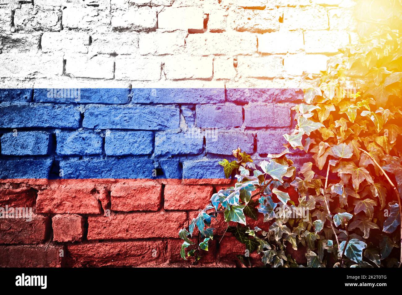 Russian Federation grunge flag on brick wall with ivy plant sun haze ...