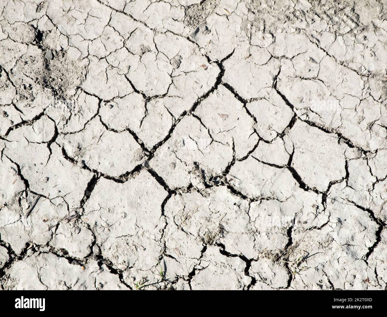 Parched ground hi-res stock photography and images - Alamy